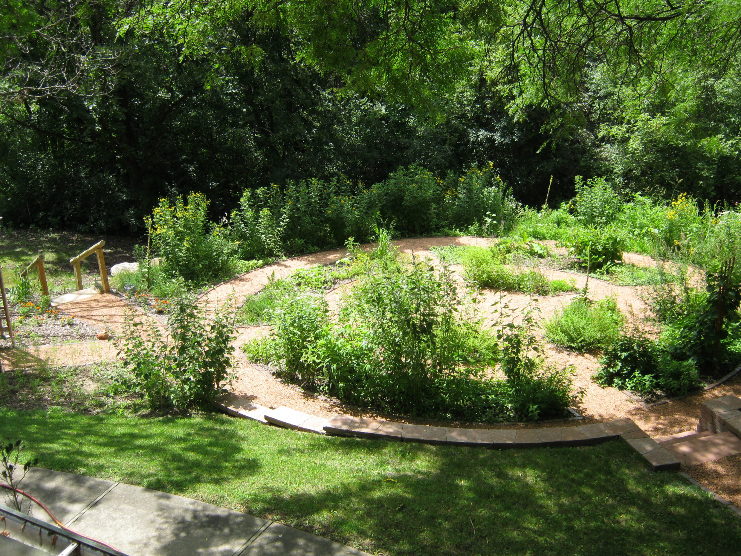 Herb Walk at Wildwood Garden - Wildwood Institute